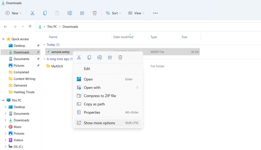 How To Open WebP Image On Windows 11